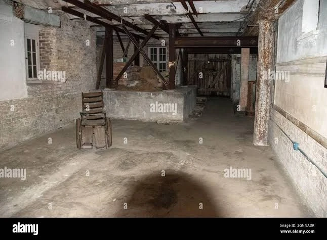 I want to swallow cement | Fandom