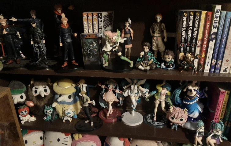 shelf setup hell yeah🔥 | Fandom