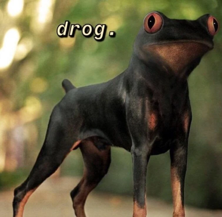 whEn yOu HaVe A dOG aNd A fROg, WhaT dO yOu geT? | Fandom