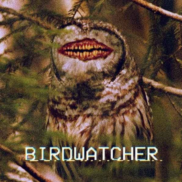 "Birdwatcher" out now!! | Fandom