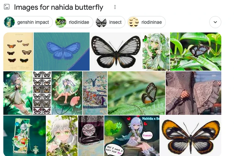 nahida (insect) | Fandom