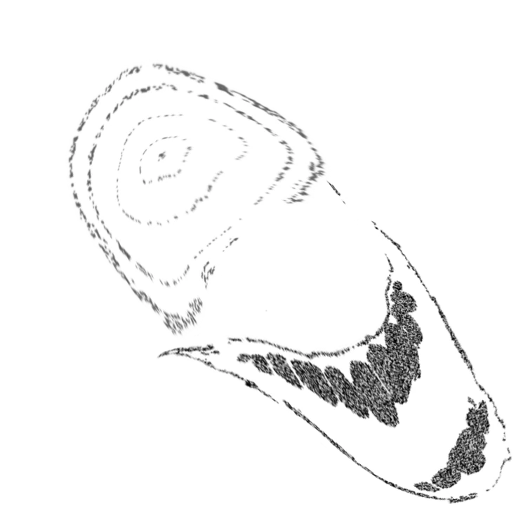 4th T section concept entity: T-150 | Fandom