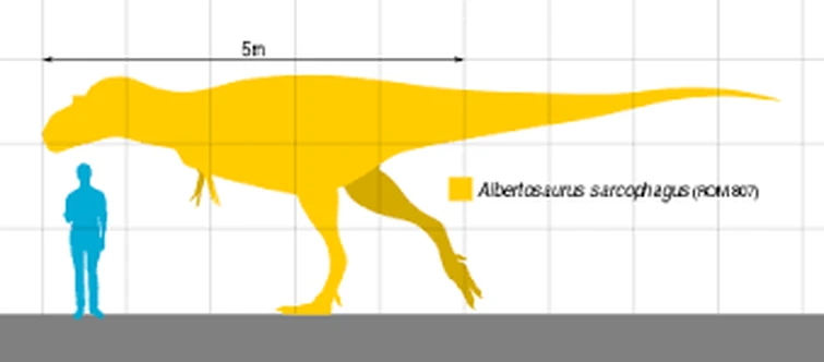 Albertosaurus vs altispinax | Fandom