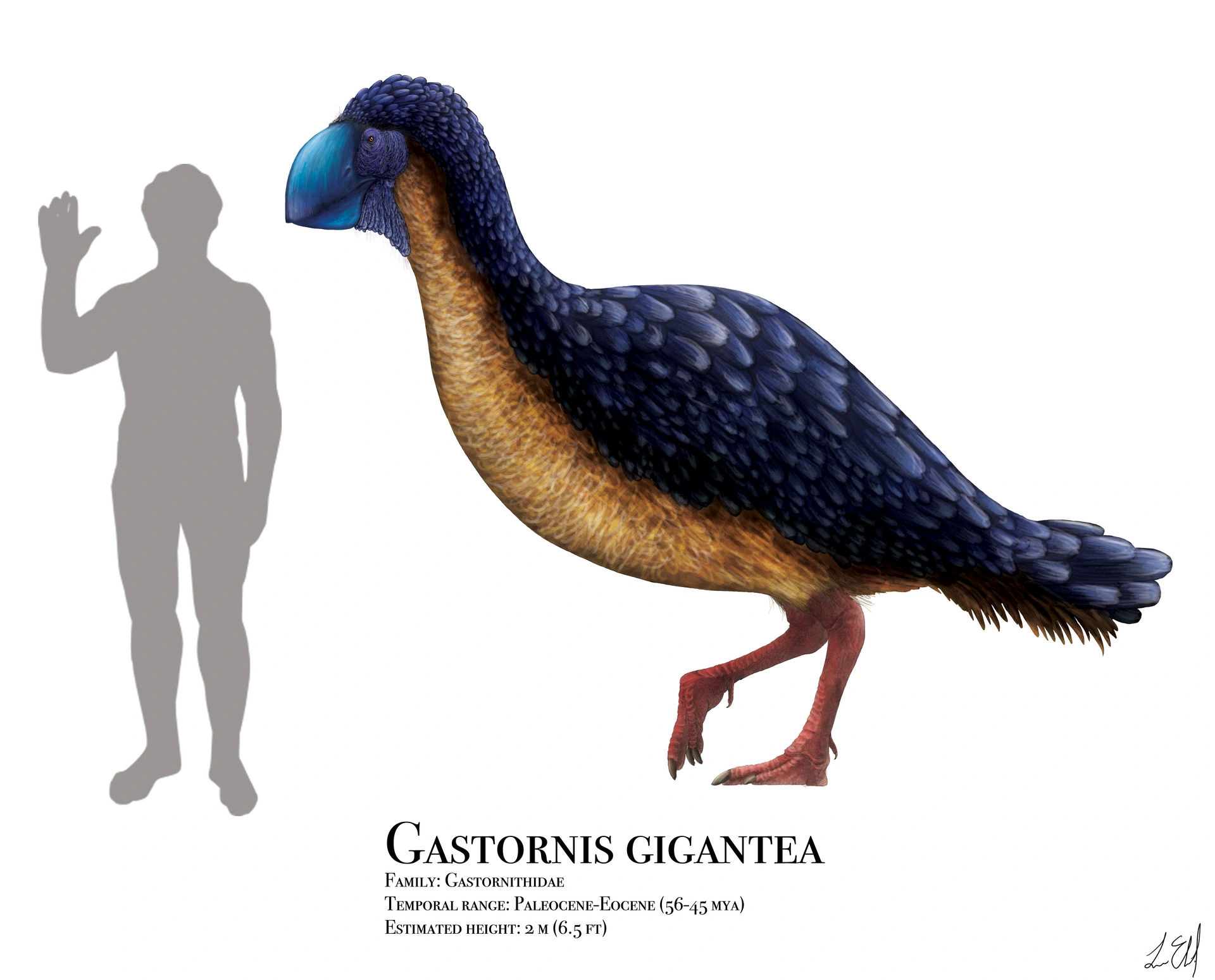 I'm betting the next one is going to be Gastornis | Fandom