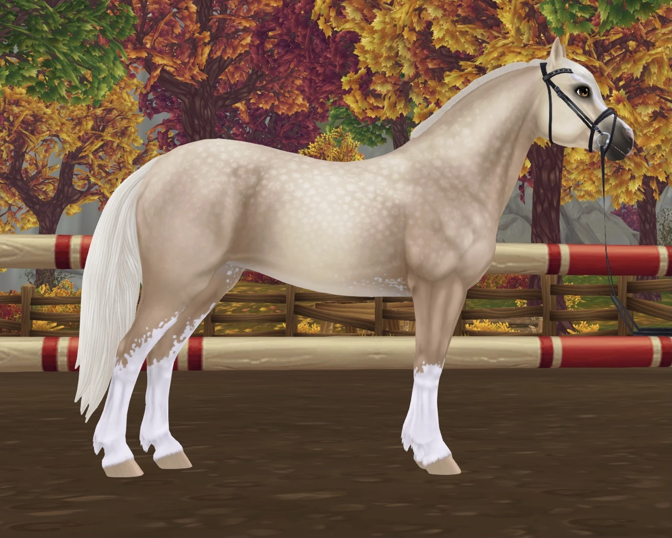 Buying a Welsh Pony (2/2) | Fandom