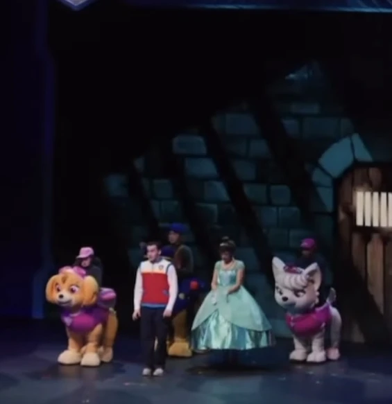 Page Permission: PAW Patrol Live puppets | Fandom