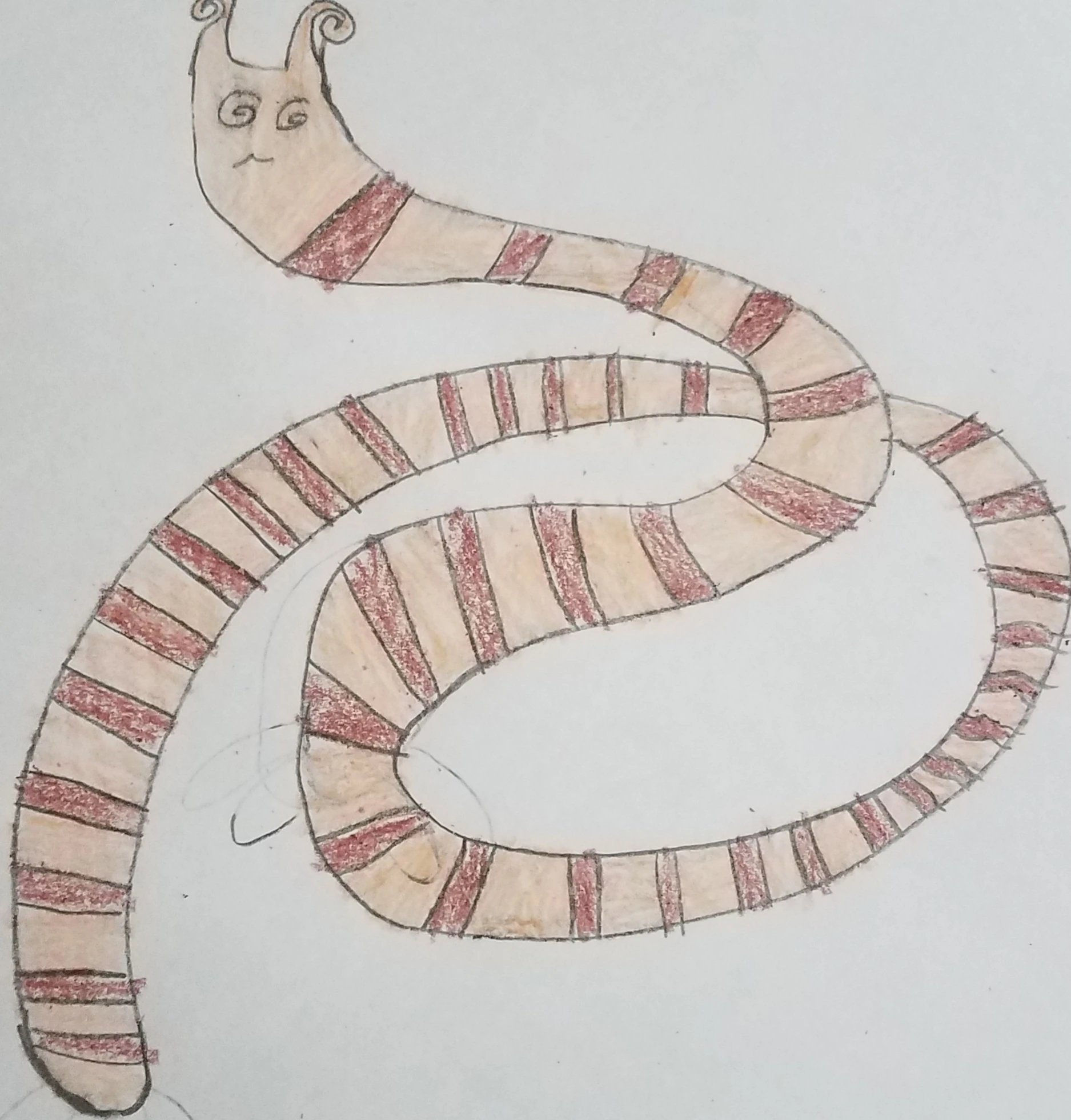 G-Max Furret | Fandom