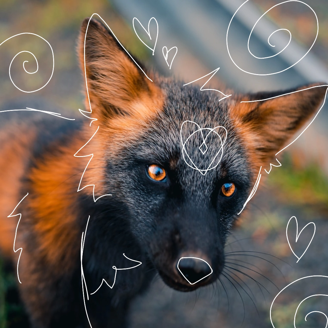 quick question abt otherhearted | Fandom