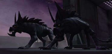 Discuss Everything About Wookieepedia | Fandom