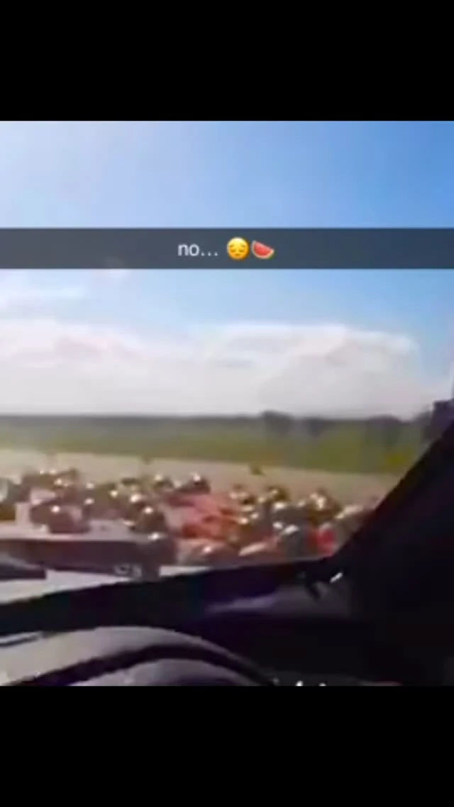 watermelon abuse... | Fandom