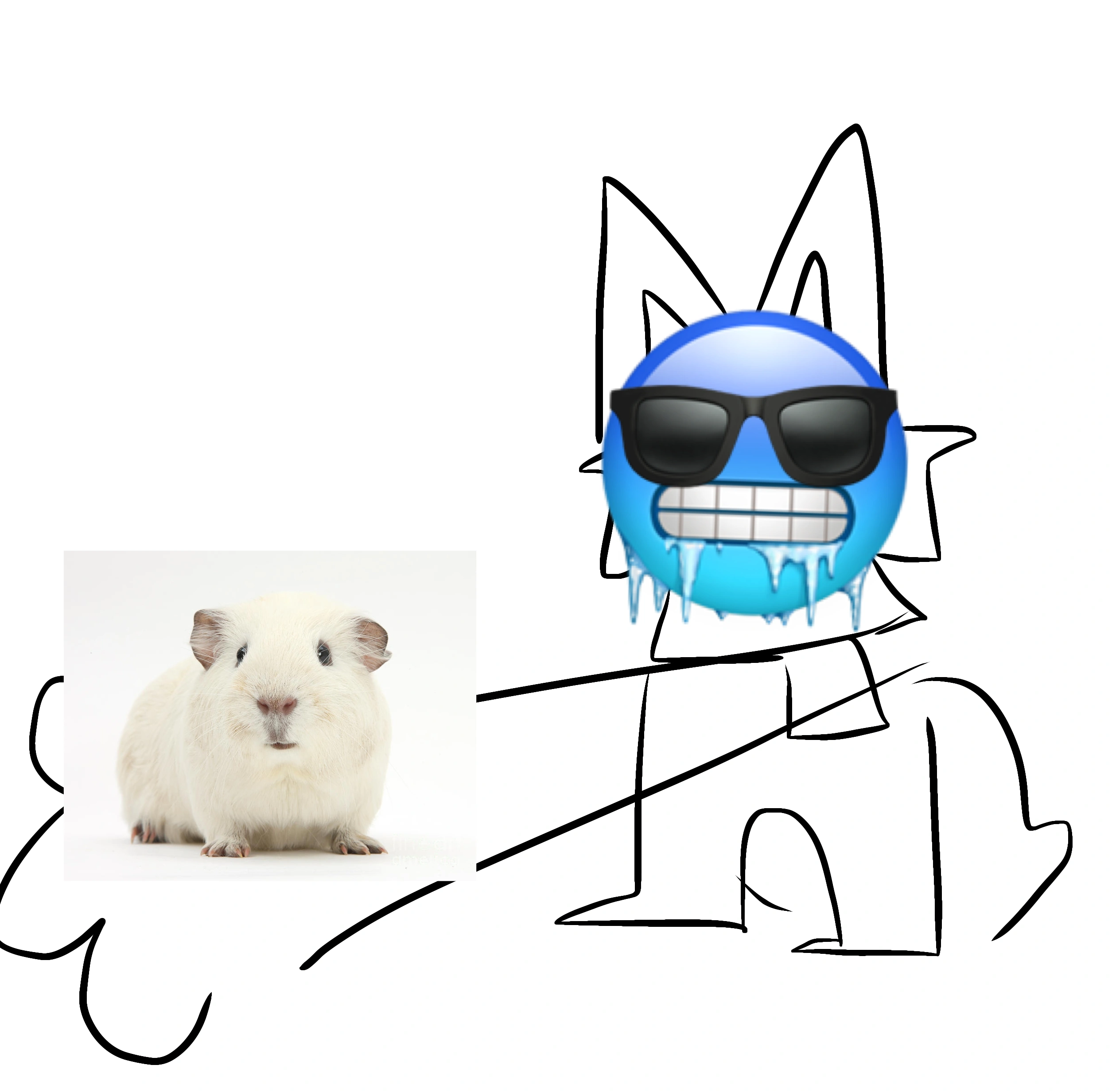 Wdym ur cool because u like the trash pandas from htf??? | Fandom