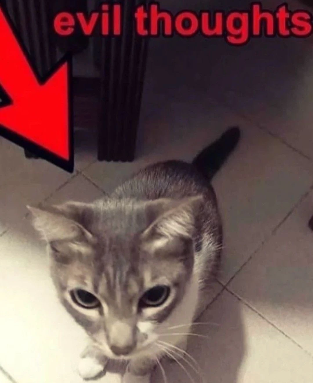 EVIL thoughts | Fandom