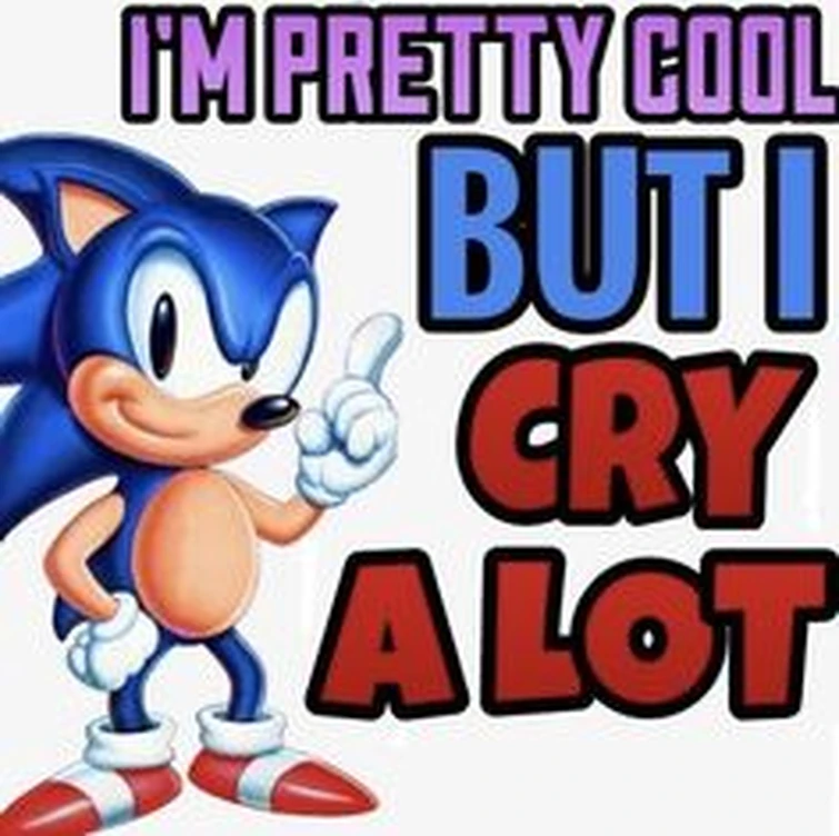 relatable sonic memes | Fandom
