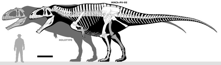 Why Giganotosaurus sucks (from the research perspective!) | Fandom