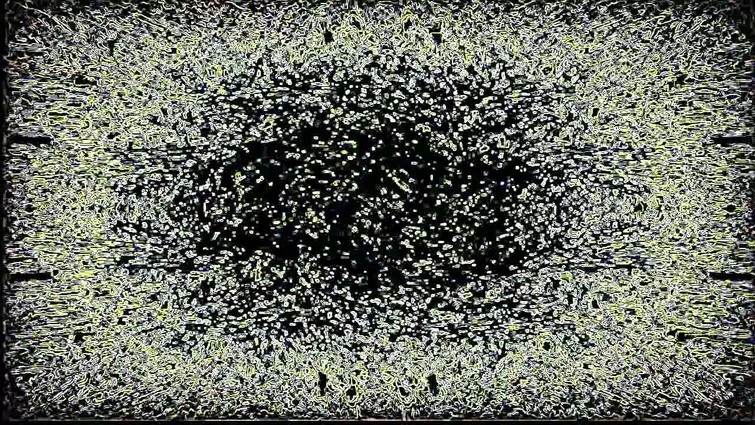 terrible fyp pull, whoever made this should be ashamed (flashing lights) | Fandom