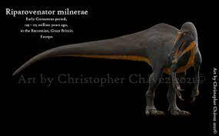 dino chaos season 1 fight 1: riparovenator vs terminocavus | Fandom