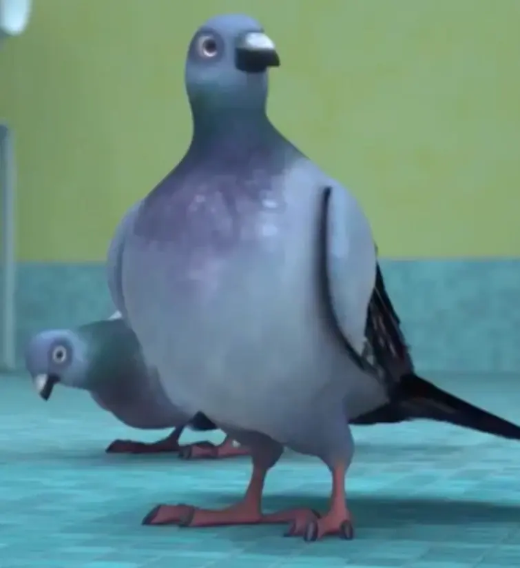 Meet Edger, the best pigeon in Paris. | Fandom