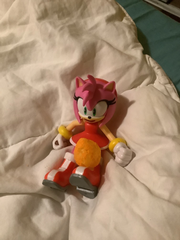 Amy Rose with a cheese ball | Fandom