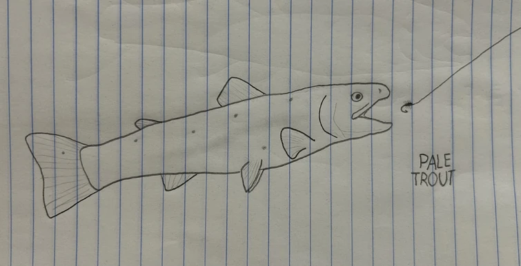 My Drawing of the Pale Trout | Fandom
