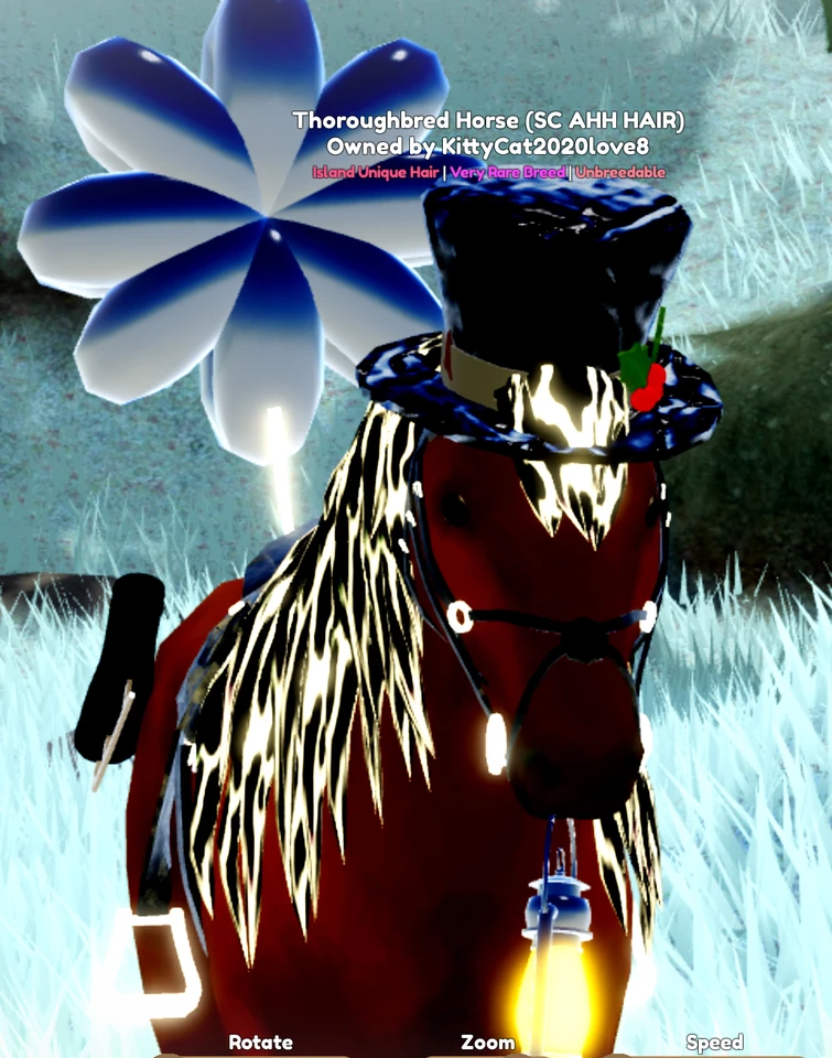 RAH MY SECOND GOOD IUH | Fandom