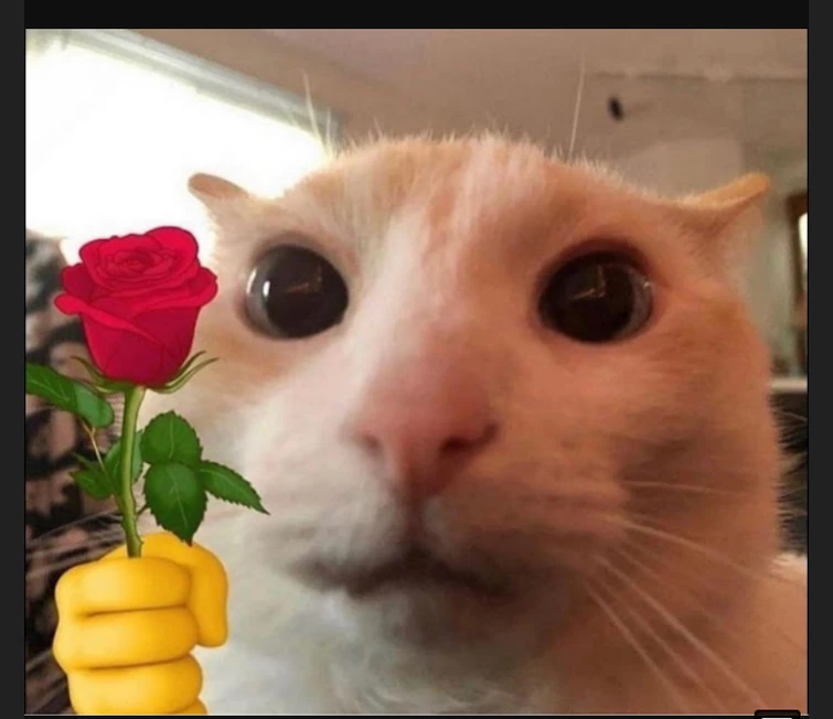 Carla gives you flower | Fandom