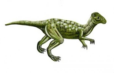 Dinopedia Creates a Park Builder- Pachycephalosauria 1 | Fandom