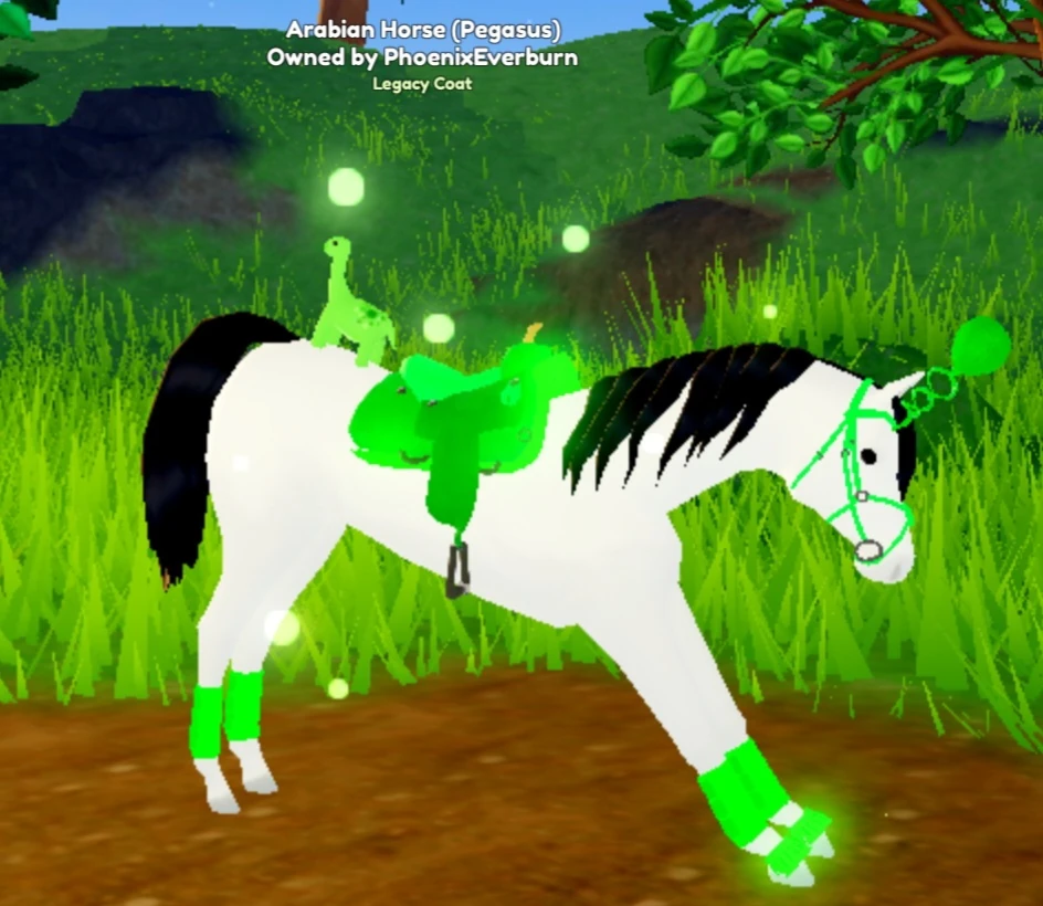 She's not arabian/friesian, she's arabian/cat | Fandom