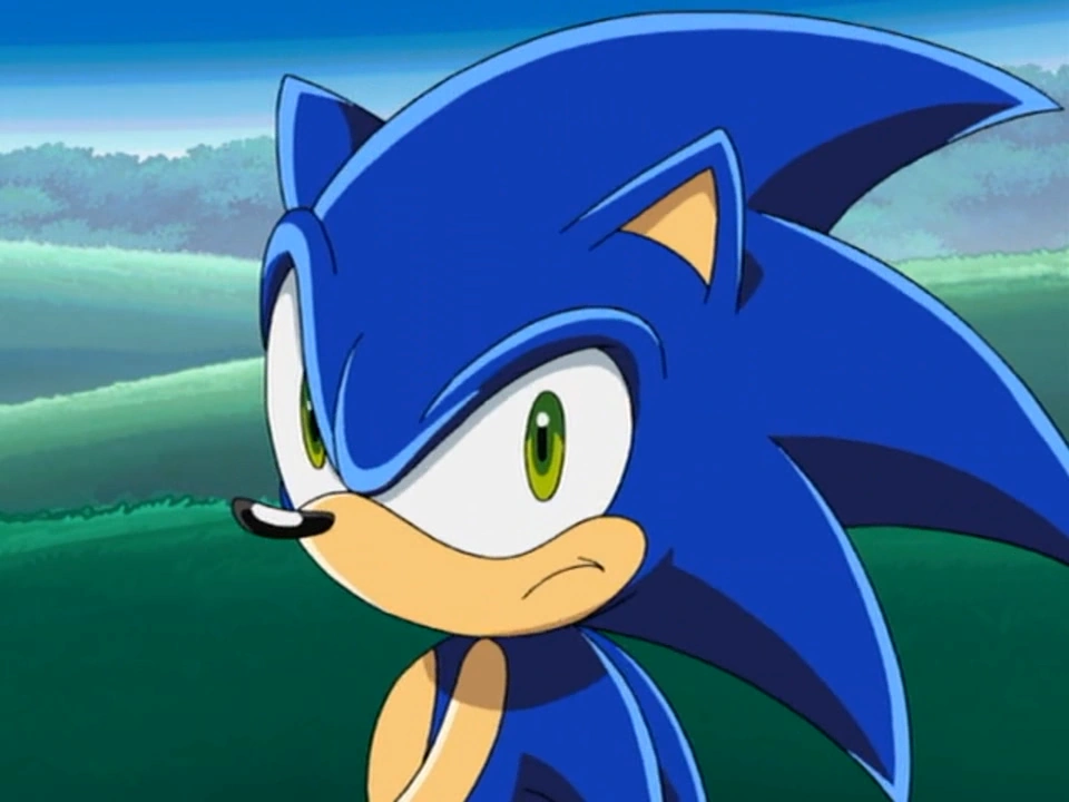 Why is Sonic serious? Wrong answers only | Fandom