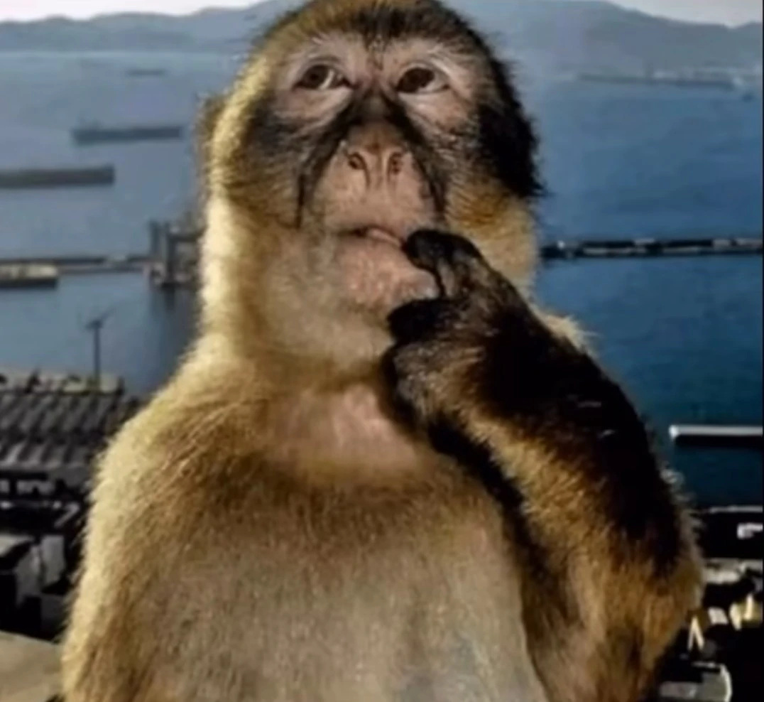 Buying stuff with 39.2k | Fandom