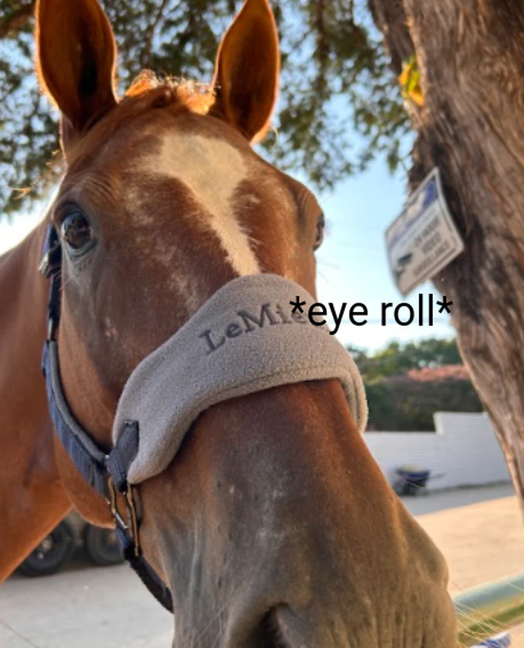 Promotions + Big Giveaway + Icon Competition Reminder | Fandom