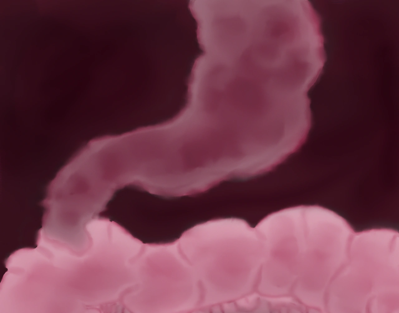 Stomach and Intestines drawing colored | Fandom