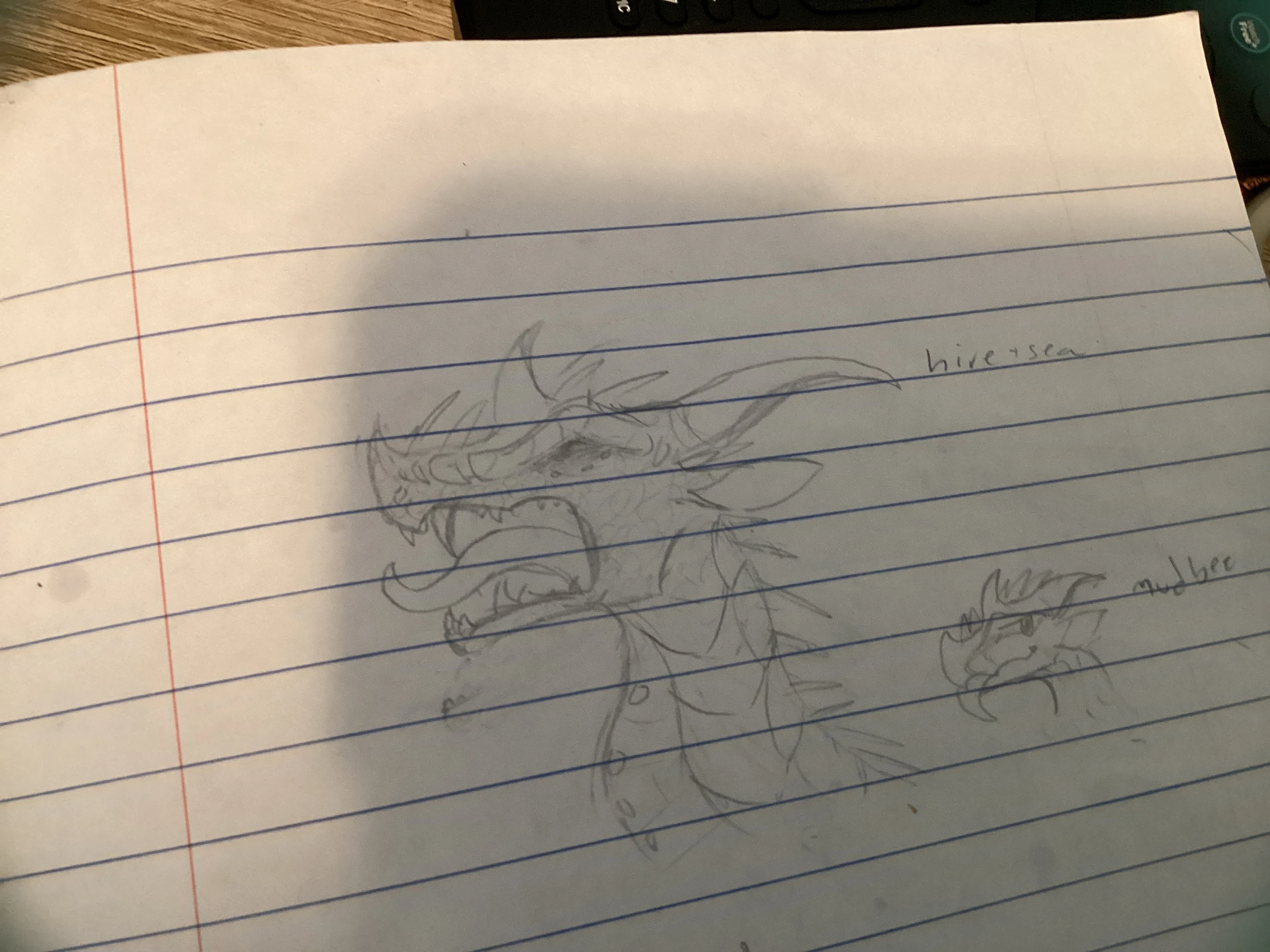 I made some things at school in the Joy Ang style | Fandom