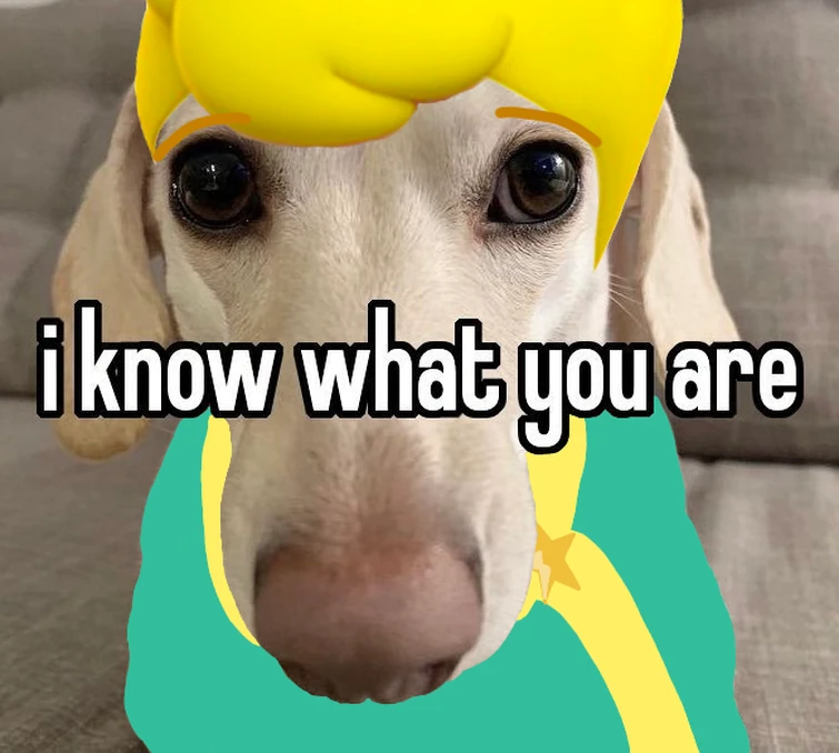 POV: you're Romi | Fandom