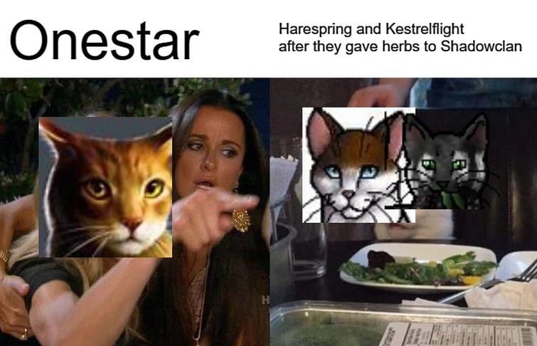warrior cats memes that turn apprentices into warriors (SPOILER WARNING ...