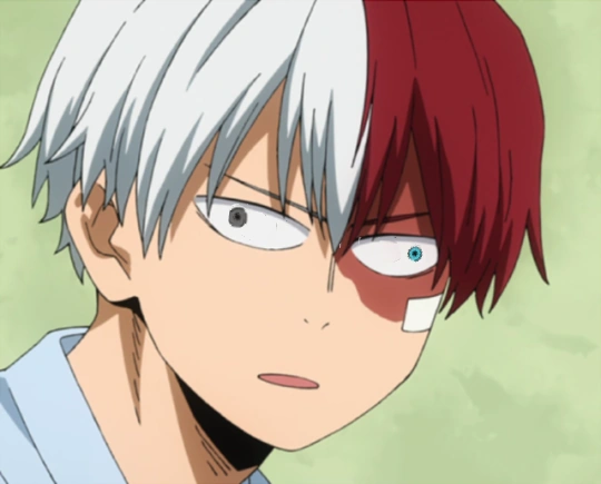 Todoroki... more like TODOWANKI | Fandom