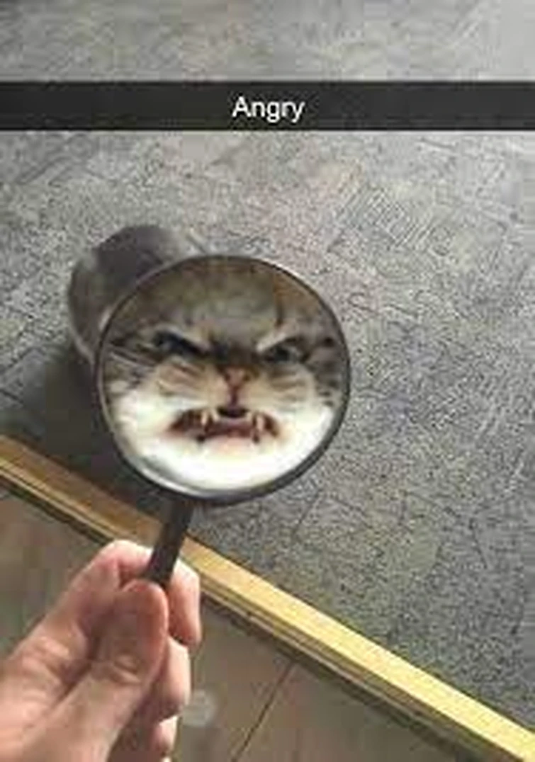 put 3 random images you have | Fandom