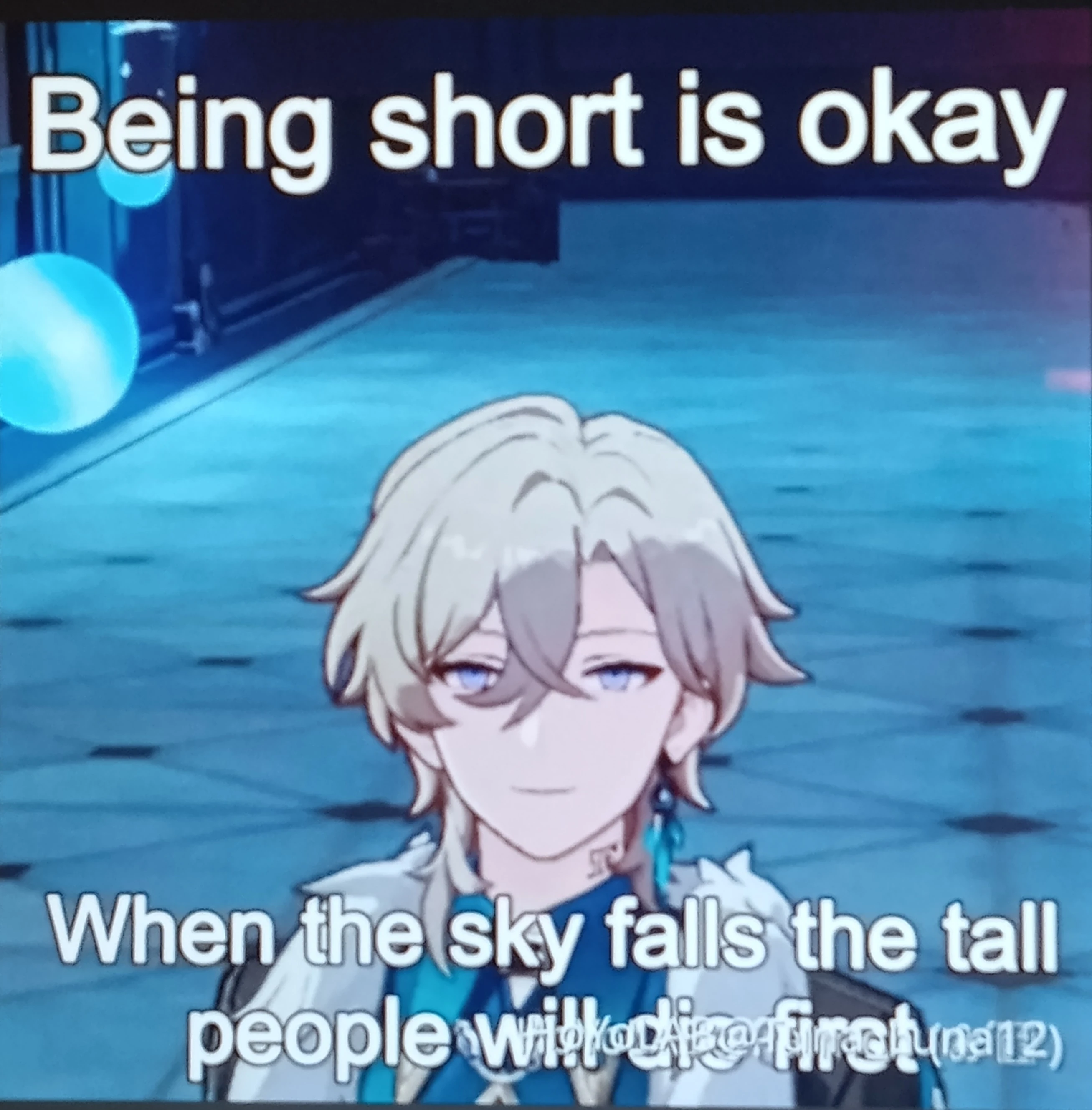 A meme a day keeps the standards away~ | Fandom