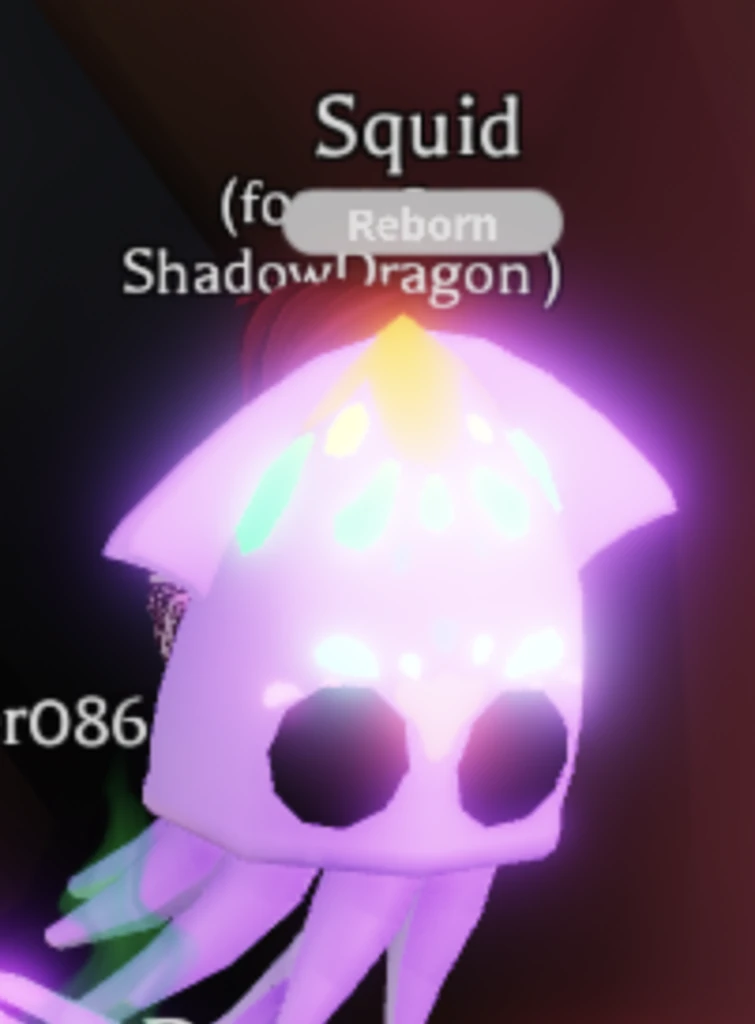NEON SQUID??? :OOO | Fandom