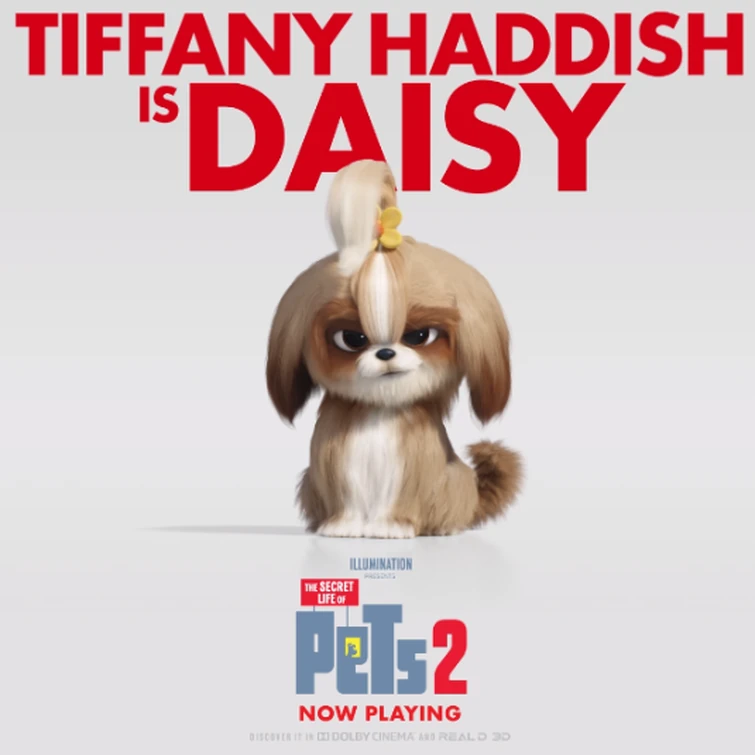 Daisy is wonderful | Fandom