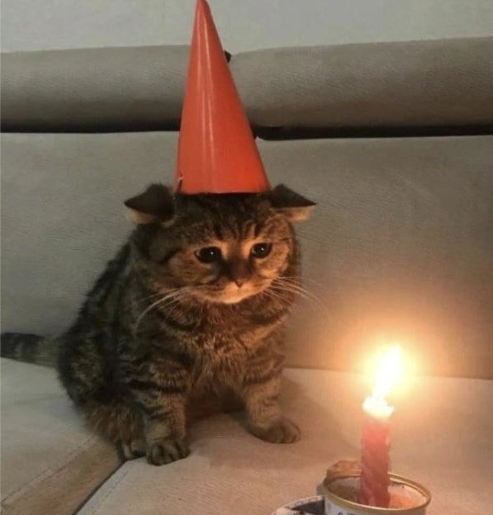 I feel lied to | Fandom