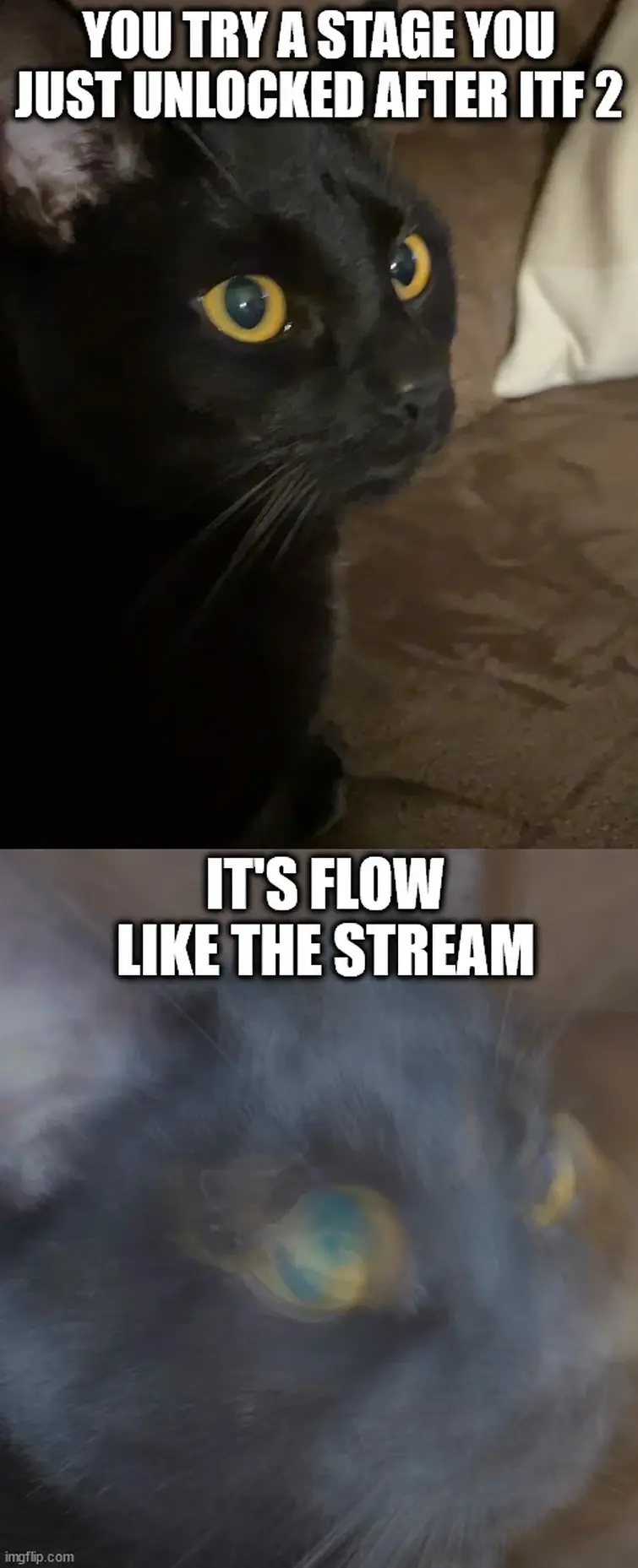 bc meme review | Fandom