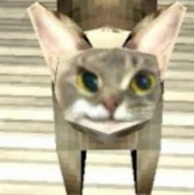 Cat | Fandom