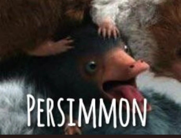 Baby Niffler names! | Fandom