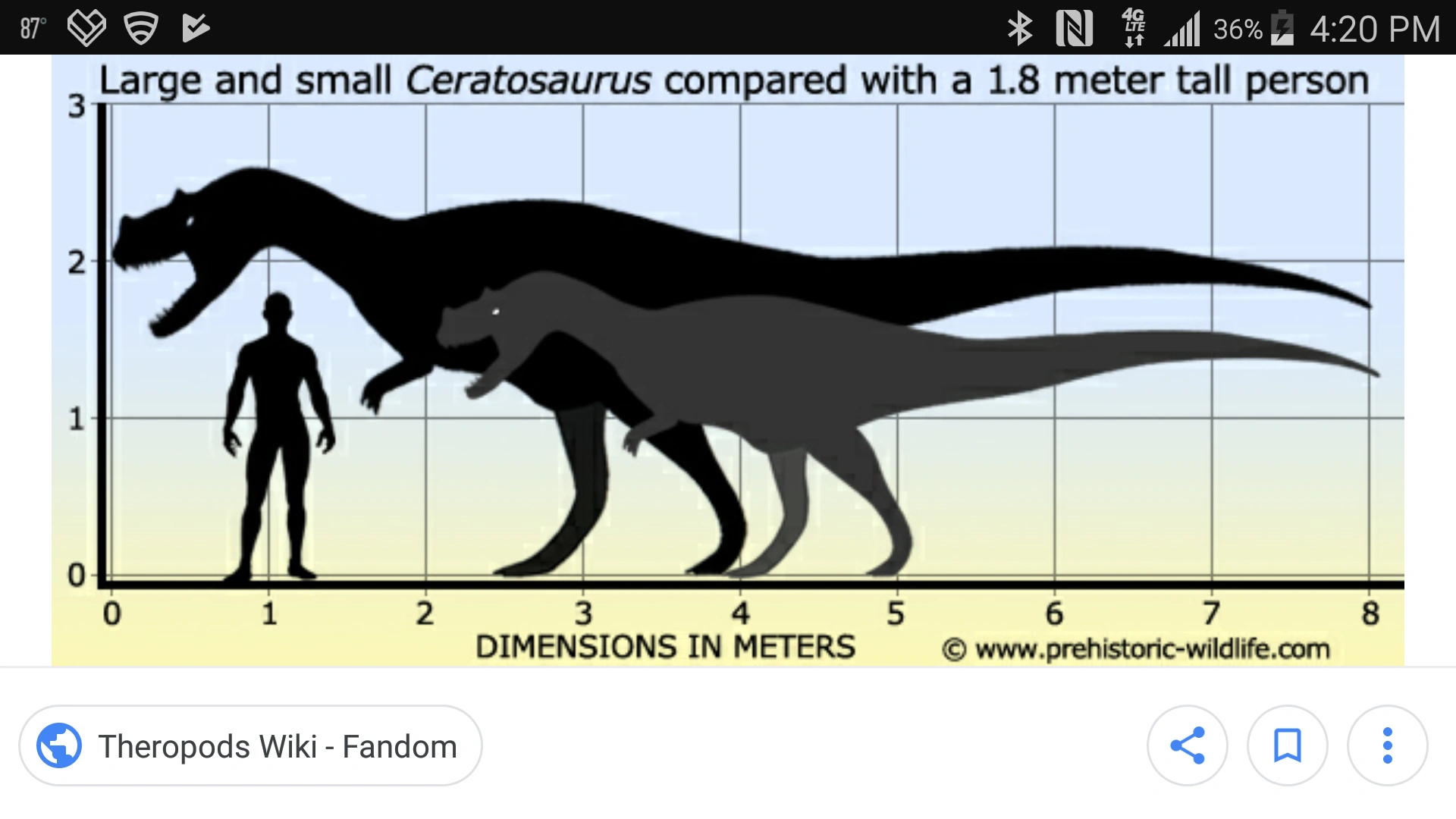 Carnotaurus Vs Ceratosaurus