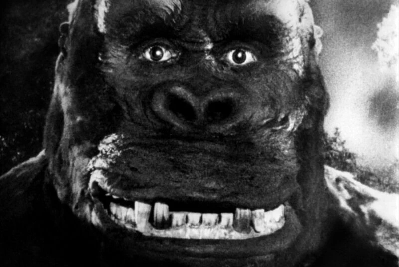 King Kong's Teeth quiz | Fandom