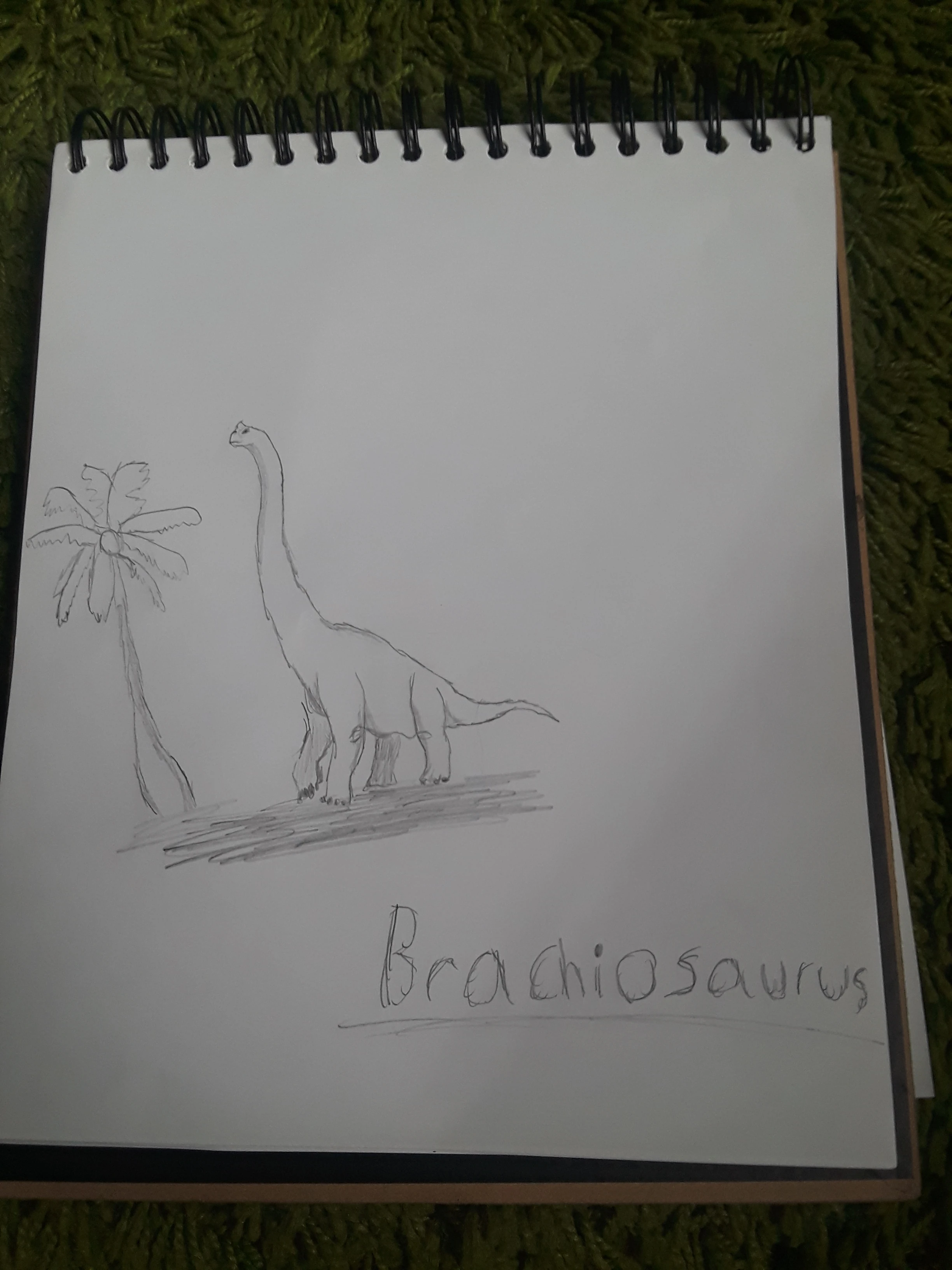 Jurassic Park Brachiosaurus Drawing