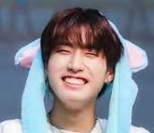 HAPPY VALENTINES DAY POOKIES | Fandom