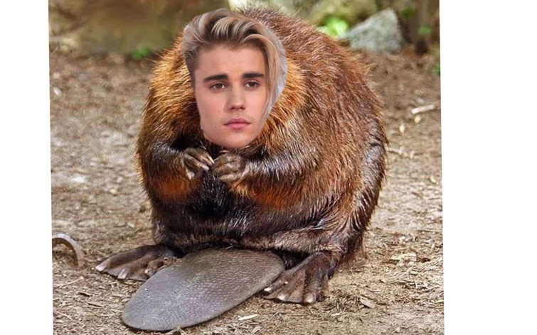So yea I made this | Fandom