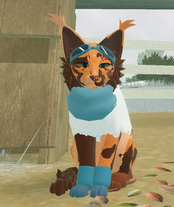 Here an small update on some of the wcue designs | Fandom