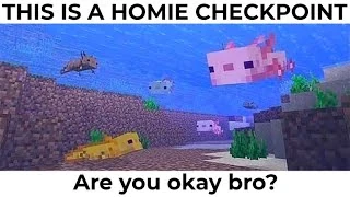 are you ok homies | Fandom